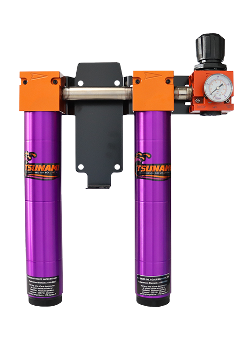 2-Stage Filter Package With Regulator | Tsunami